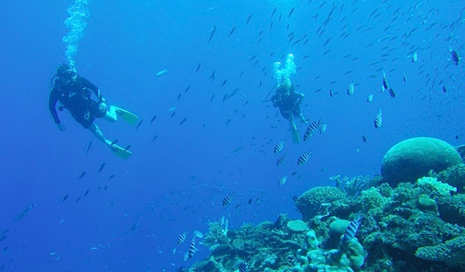 Superstar Interviews: Coming Home Strong